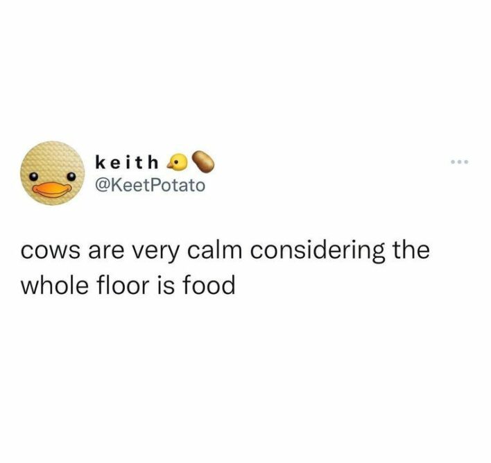 30 Funny Relatable Memes That Helped Us Cope This Week