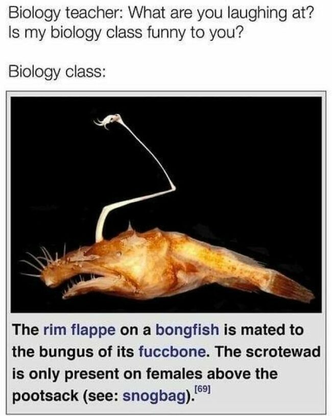 30 Science Memes That'll Make You Laugh, Even If You're Not A Nerd