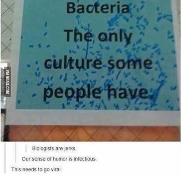 30 Science Memes That'll Make You Laugh, Even If You're Not A Nerd