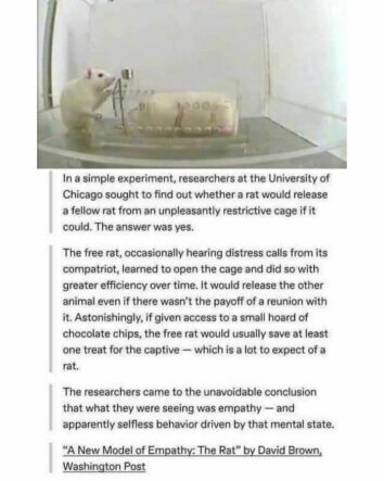 30 Science Memes That'll Make You Laugh, Even If You're Not A Nerd