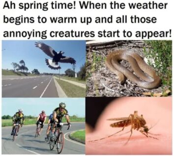 Spring Has Sprung And So Have The Spring Memes (25 Memes)