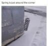 Spring Has Sprung And So Have The Spring Memes (25 Memes)