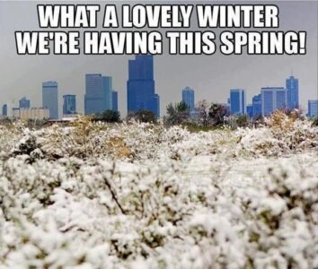 Spring Has Sprung And So Have The Spring Memes (25 Memes)