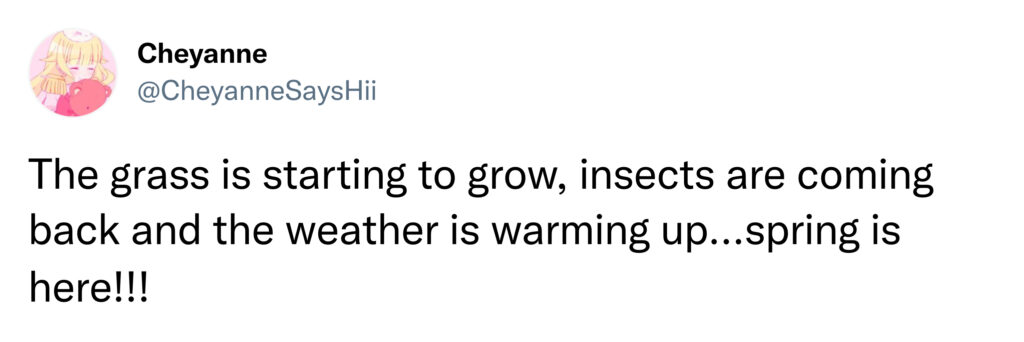 Spring Has Sprung And So Have The Spring Memes (25 Memes)