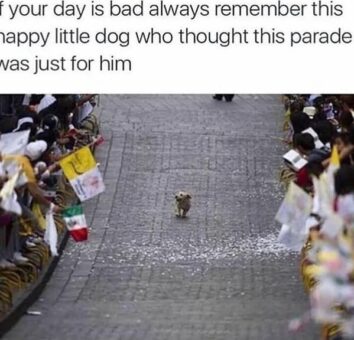 30+ Wholesome Memes and Happy Pics For People In Need Of Good Vibes ...