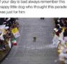 30+ Wholesome Memes and Happy Pics For People In Need Of Good Vibes ...