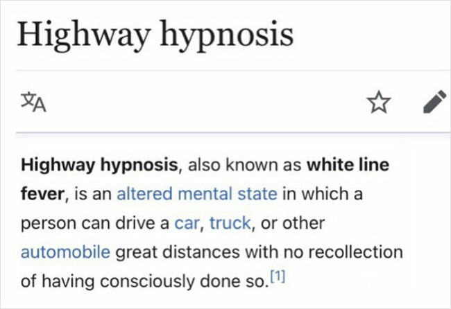 40 Hilariously Weird But Also Fascinating Entries Found Mining The ...