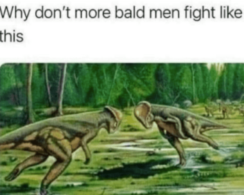 25 Bald Memes For Everyone Out There With Head Skin In The Game