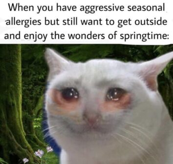 40 Funny And Environmentally Friendly Memes To Scroll Through On Earth Day