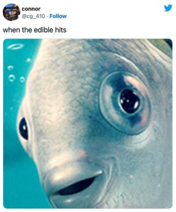 The Live-Action "Little Mermaid" Flounder Is Getting Hilariously ...