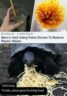 40 Funny And Environmentally Friendly Memes To Scroll Through On Earth Day