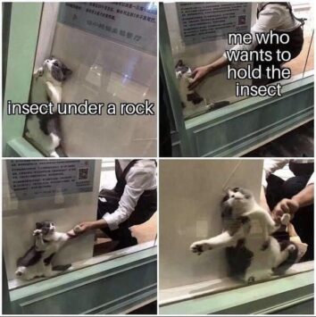40 Funny And Environmentally Friendly Memes To Scroll Through On Earth Day