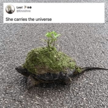40 Funny And Environmentally Friendly Memes To Scroll Through On Earth Day