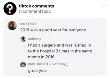 30 Funny And Totally Unhinged TikTok Comments Shared By This Twitter Page