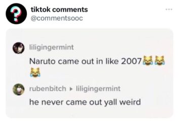 30 Funny And Totally Unhinged TikTok Comments Shared By This Twitter Page