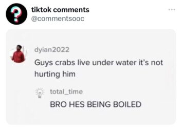 30 Funny And Totally Unhinged TikTok Comments Shared By This Twitter Page