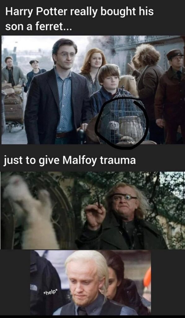 30 Best Harry Potter Memes And Jokes From This Week (May 31, 2023)