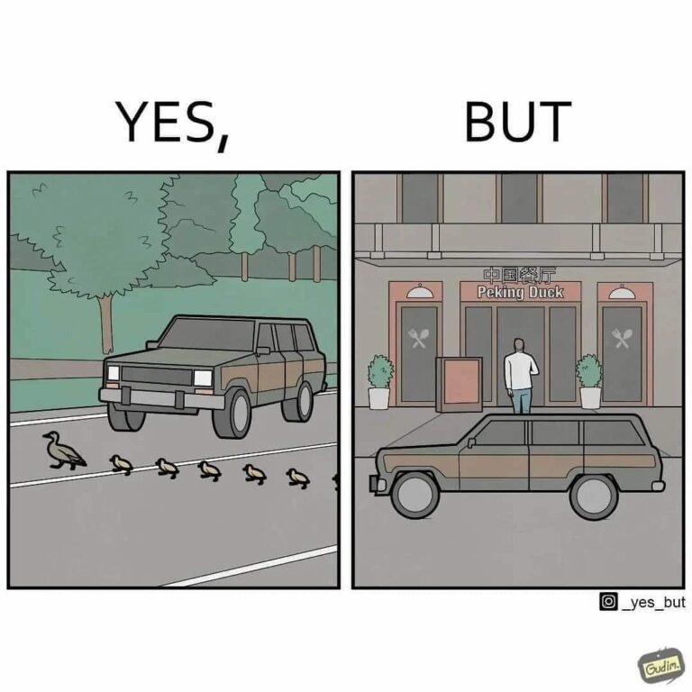 30 New "Yes But" Comics That Sarcastically Show Society's ...