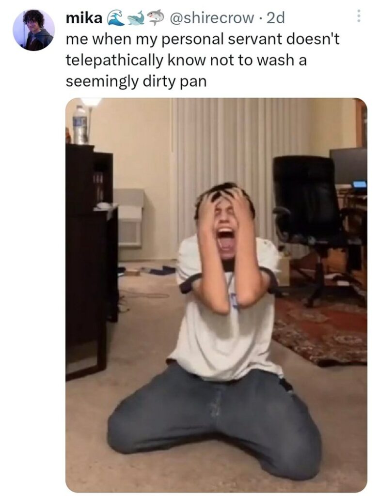 Entitled Man Complains About His Housecleaner Thinking He'll Get ...