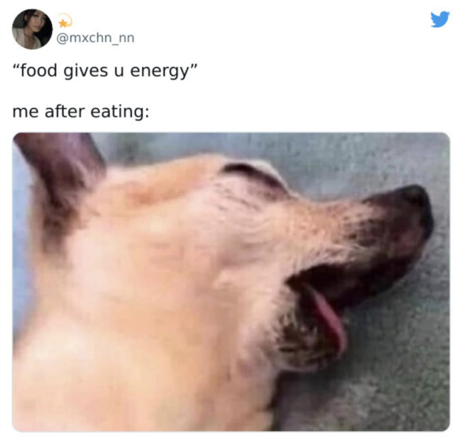 40 Funny Food Memes You Can Pig Out On Guilt Free