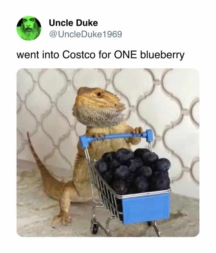 30+ Funny Costco Tweets That’ll Have You Laughing In Bulk