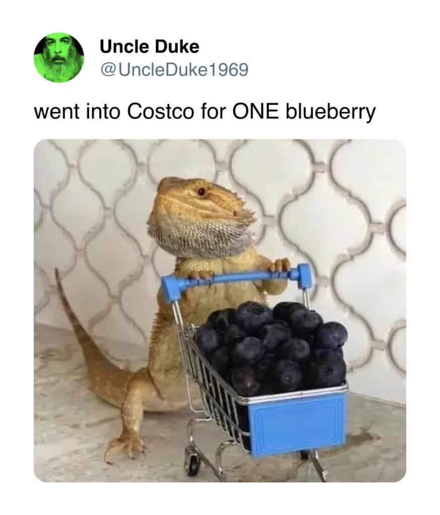30+ Funny Costco Tweets That’ll Have You Laughing In Bulk