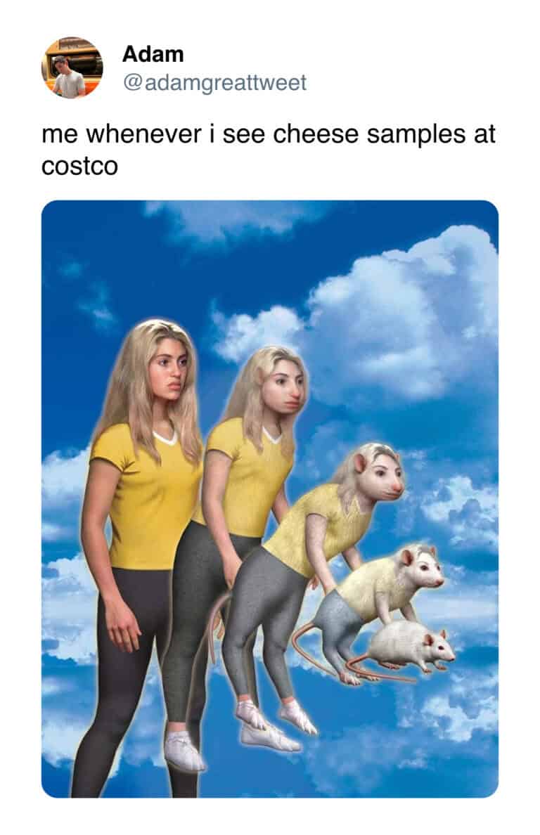 30+ Funny Costco Tweets That’ll Have You Laughing In Bulk