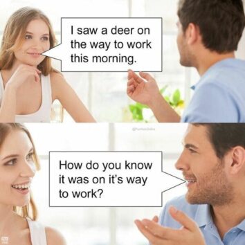 55 Dumb-Funny Puns From PunHub