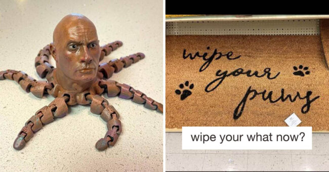 40 Random And/Or Funny Pictures To Have A Gander At This Saturday Afternoon