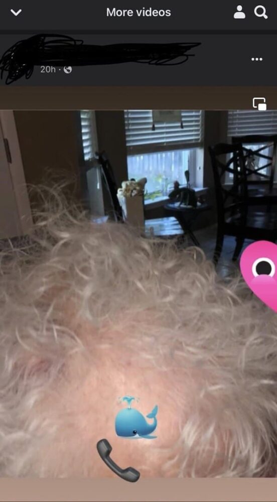 "Oh, Facebook" — 35 Most Hilariously Unhinged Posts On FB This Week