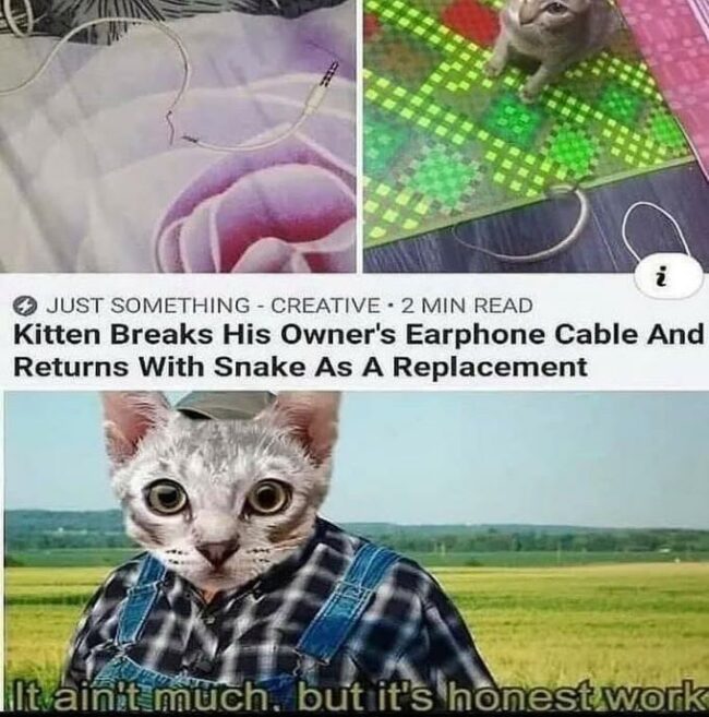 People Share The Best 'It Ain't Much But It's Honest Work' Memes To ...