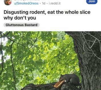 40 Hilariously Wild Posts That Only Could've Happened On Reddit