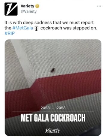 Cockroach Walking Red Carpet At Met Gala Takes Center Stage As Latest ...