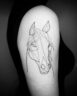 Artist Creates Mesmerizing Tattoos By Using Just One Continuous Line ...