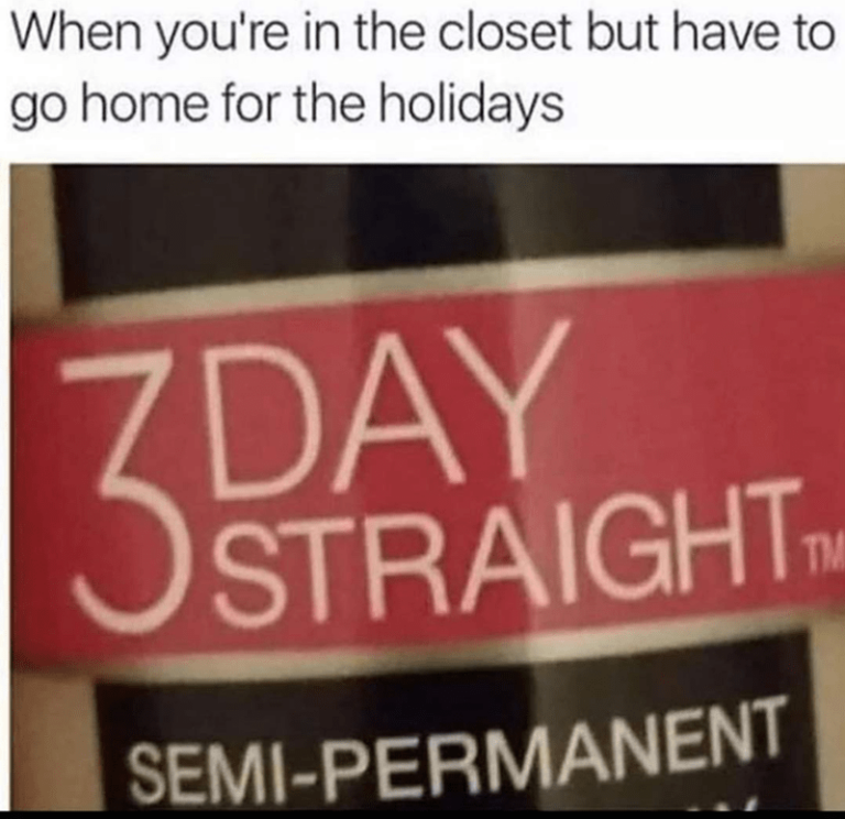 45+ Funny LGBTQ+ Memes To Kick Your Pride Month Off With A Rainbow Of Humor