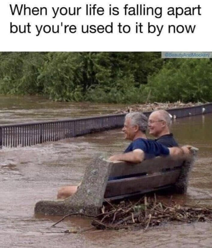 28 Relatable Memes For Anyone Who's Coping With Life's BS Through Humor ...