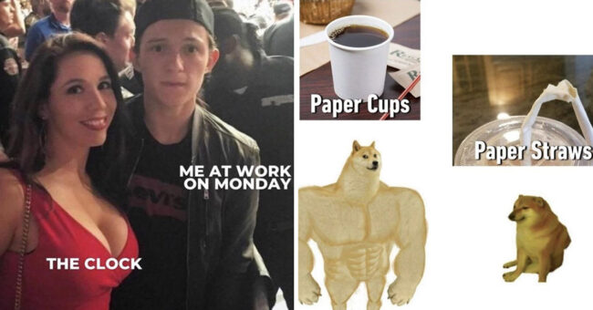 28 Relatable Memes For Anyone Who's Coping With Life's BS Through Humor ...