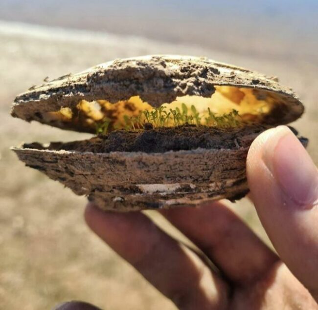 50 Fascinating Pictures Of The Secret Insides Of Everyday Objects We'd ...