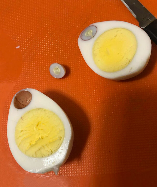 50 Fascinating Pictures Of The Secret Insides Of Everyday Objects We'd ...