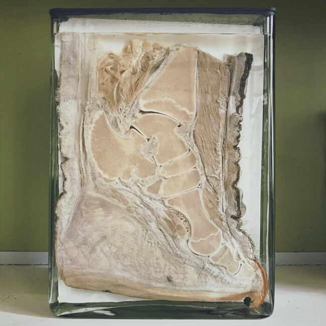 50 Fascinating Pictures Of The Secret Insides Of Everyday Objects We'd ...
