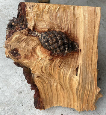 50 Fascinating Pictures Of The Secret Insides Of Everyday Objects We'd ...