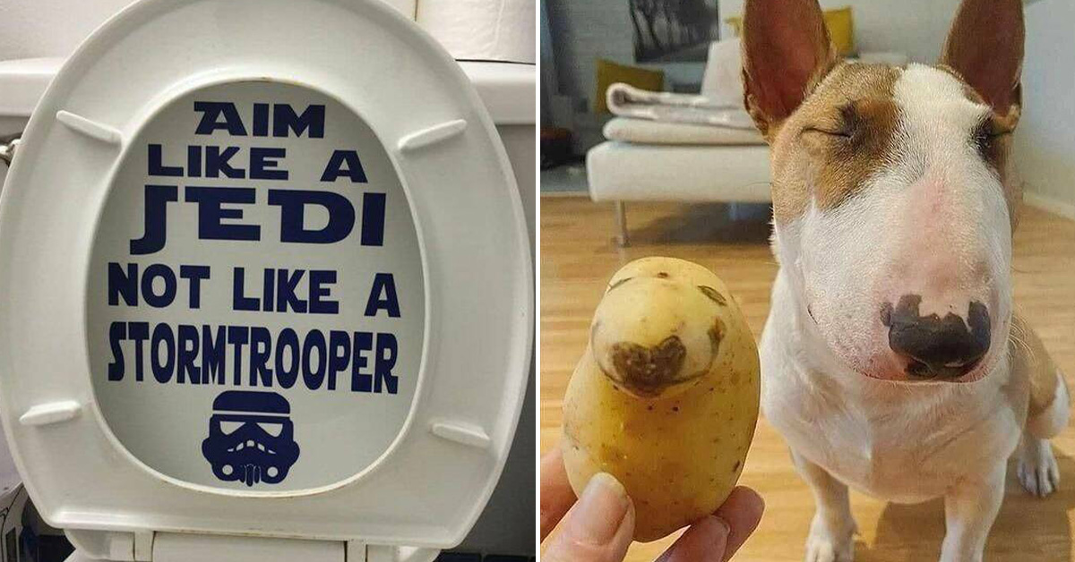 This Morning's Funny Pictures Are Like Taking Your Daily Vitamin Of ...