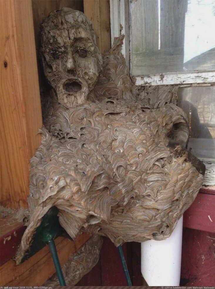 25 Accidentally Terrifying Photos You'll Hope Are Glitches In The Matrix