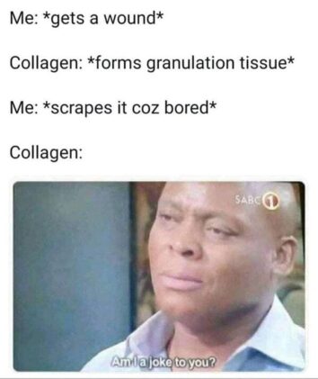 45 Smart Memes And Jokes You Don't Need A Genius IQ To Understand, But ...