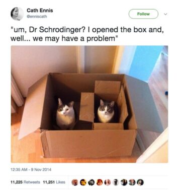 45 Smart Memes And Jokes You Don't Need A Genius IQ To Understand, But ...