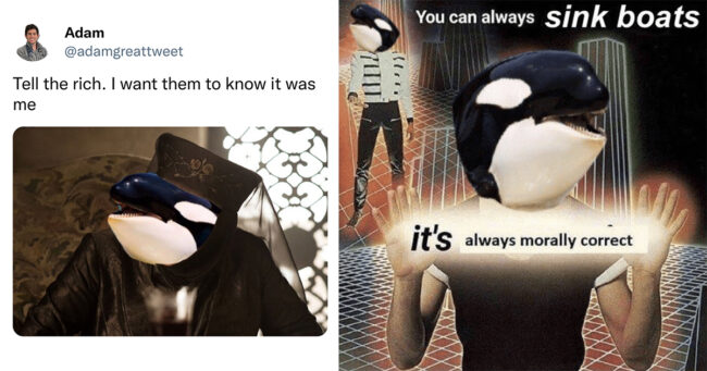 40 Funny Orca Attack Memes And Tweets We Should All Laugh At So They ...