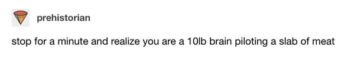 30 Hilariously Philosophical Tumblr Posts That Make Some Solid And ...