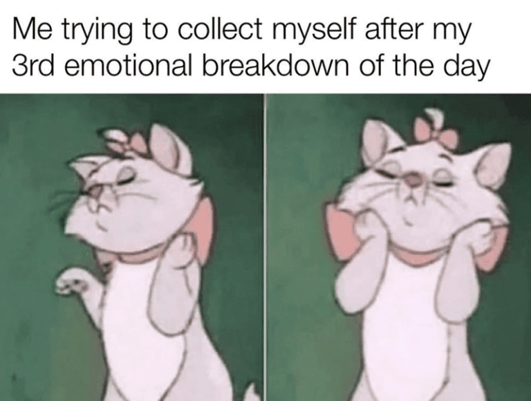 40 Hilariously Relatable Women's Memes For Ladies Whose Second Language ...