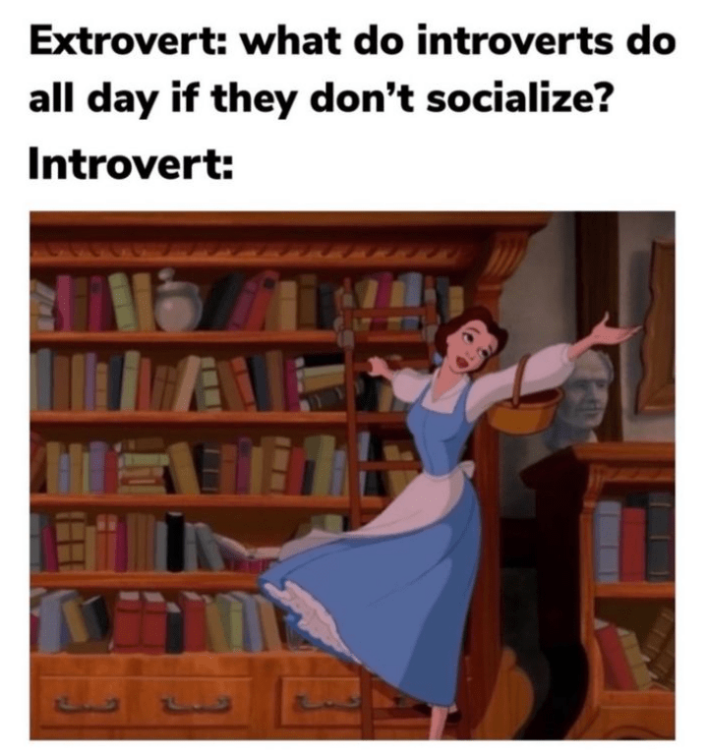 40 Funny Introvert Memes All You Lone Rangers Can Enjoy From The ...