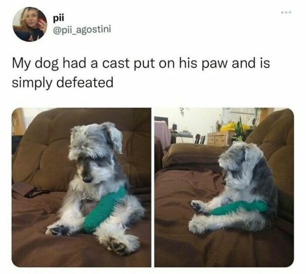 50 British Humor Memes From Across The Pond, Uh, Depending On Where You ...